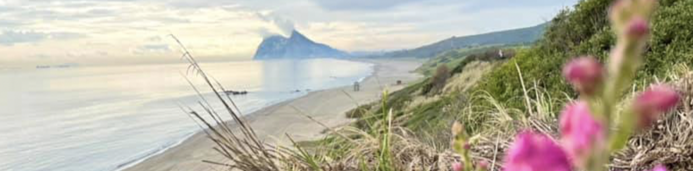 Getting to know Alcaidesa | Serendip Properties